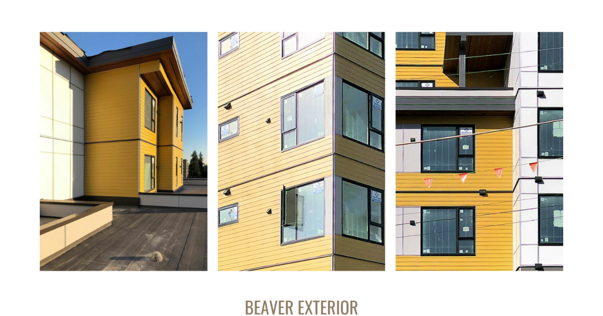 Contractor's Corner: Beaver Exterior | Doman